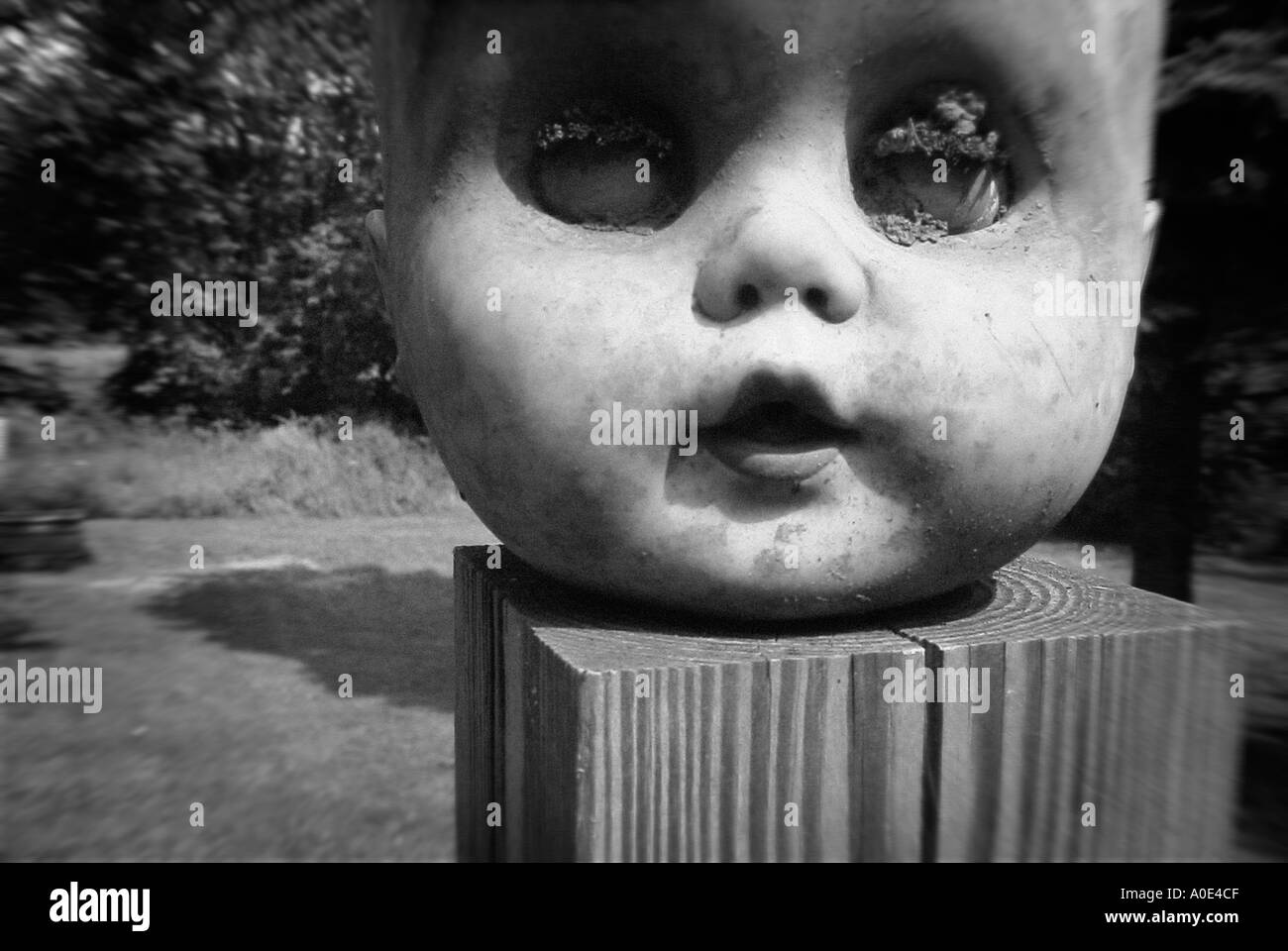 Dolls head on post Concepts Stock Photo - Alamy