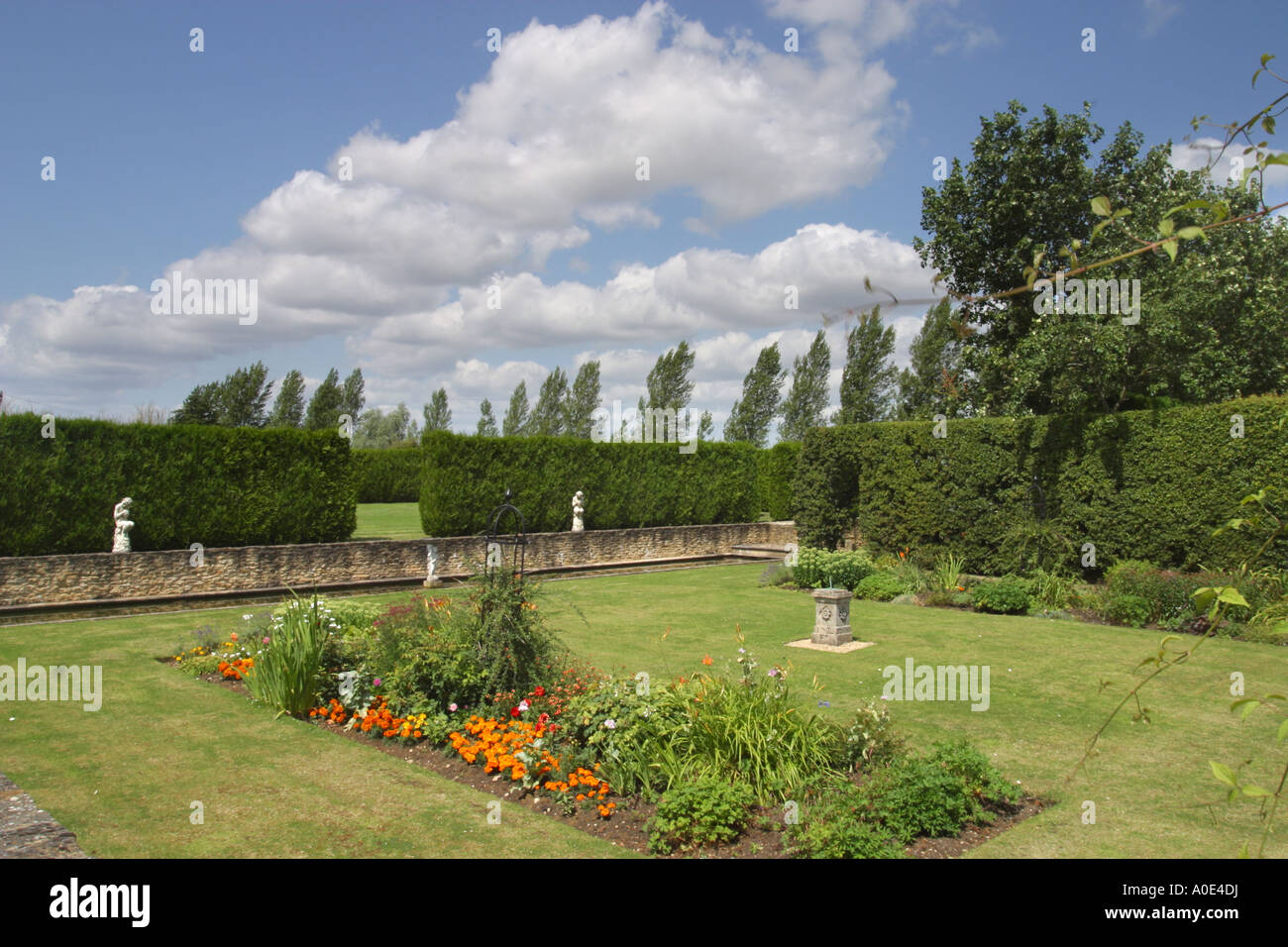 Large garden shrubs hi-res stock photography and images - Alamy