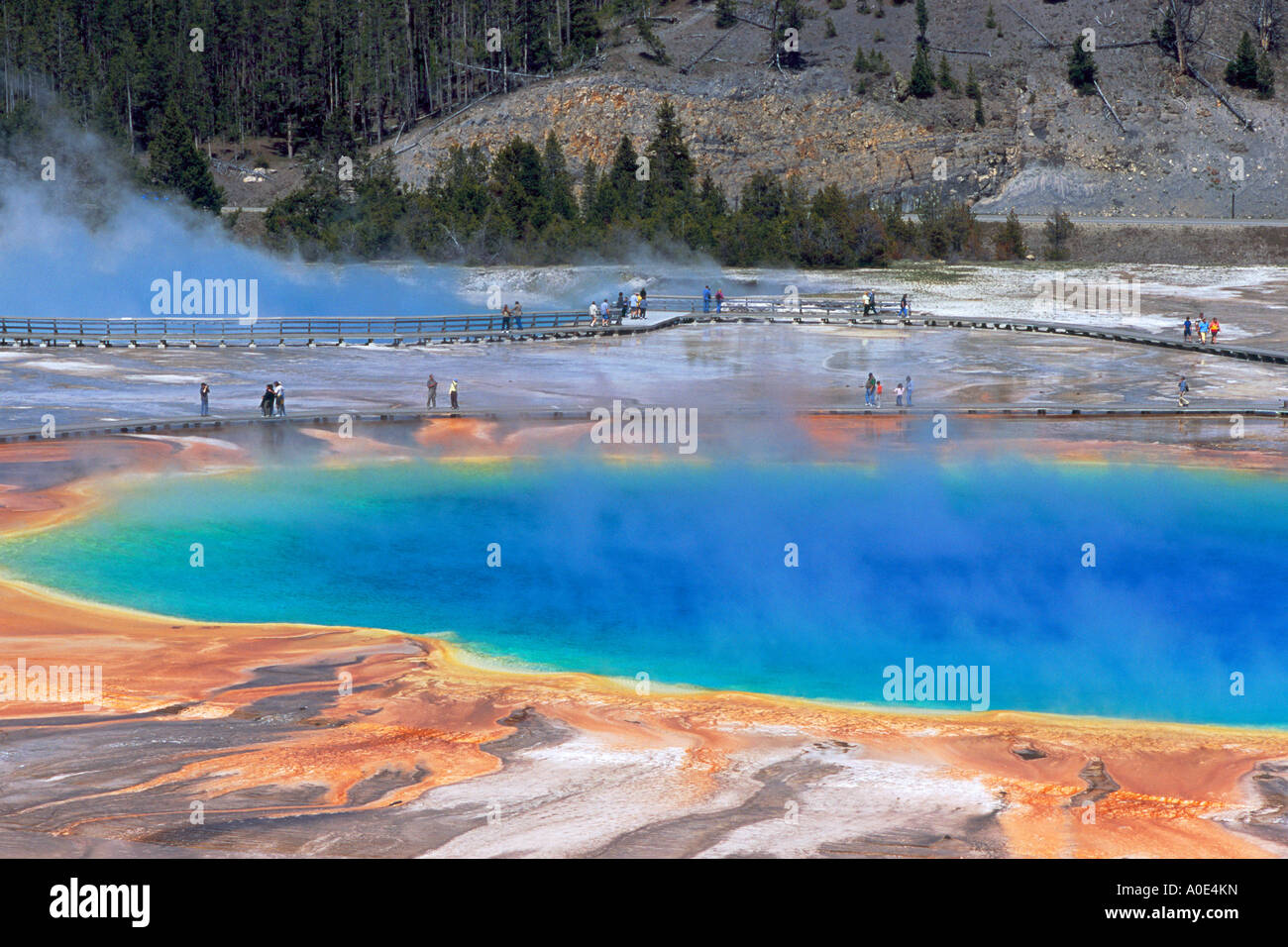 Multi colored algae around Grand Prismatic Spring, Midway Geyser Basin ...