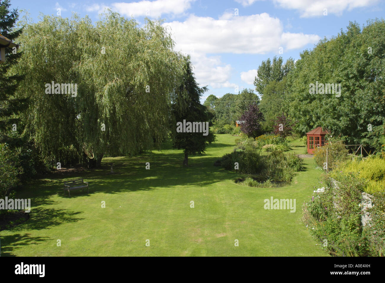 Large mature summer UK garden with trees and shrubs Stock Photo - Alamy