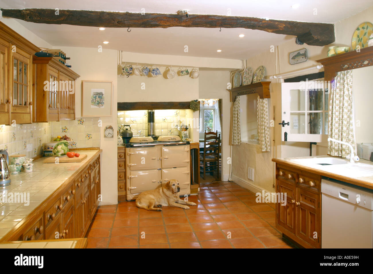 Labrador house uk hi-res stock photography and images - Alamy