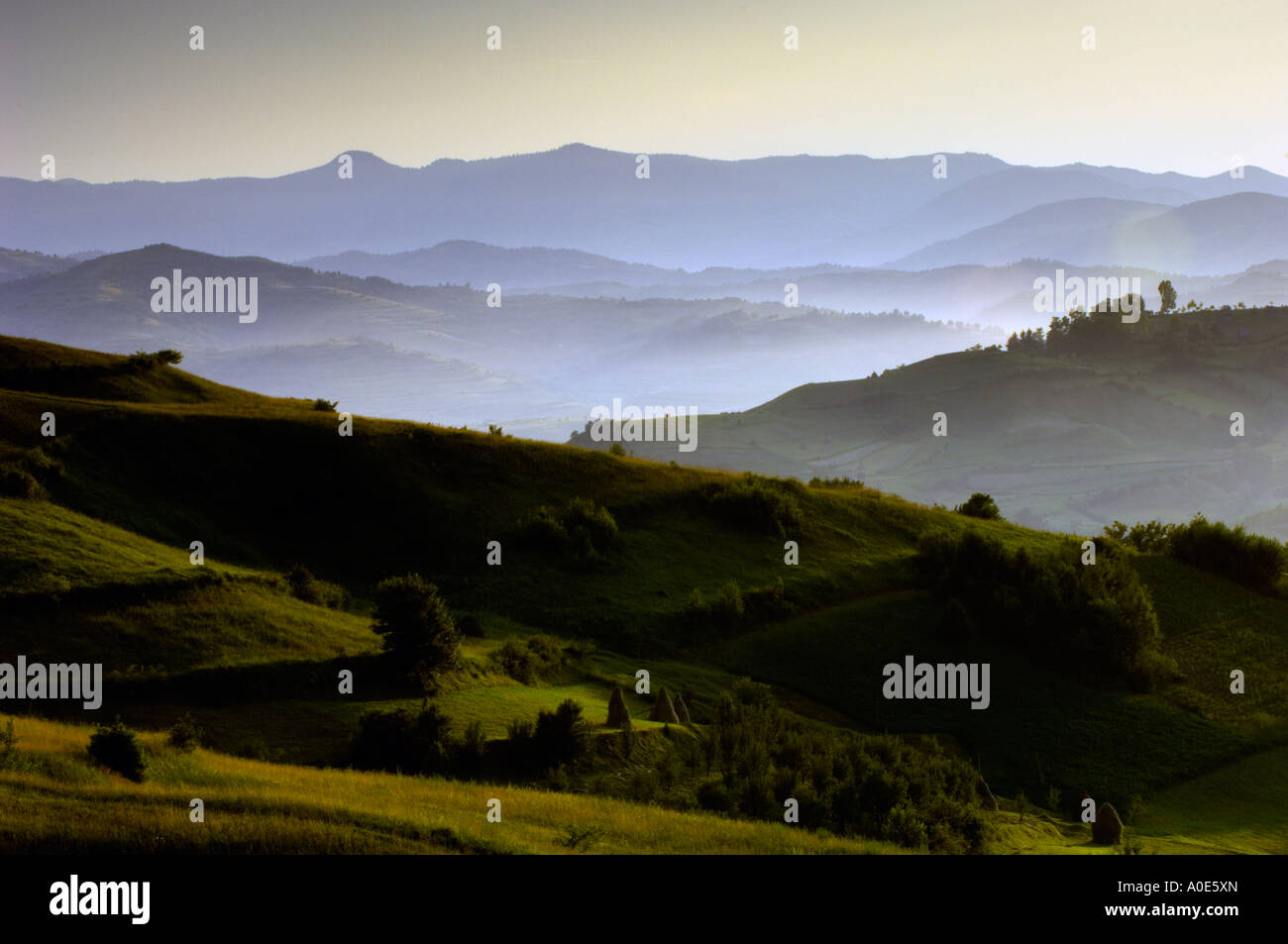 Europe Romania Maramures landscape near Bogdan Voda seen from Bocicoel ...