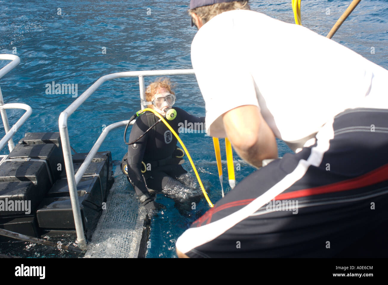 Isla Guadelupe Mexico Great White shark diving November 2006 Luke ...