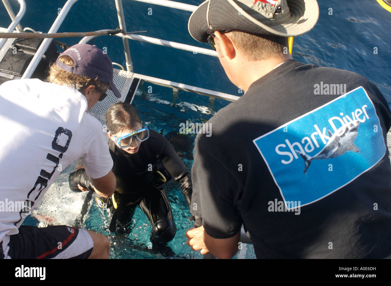 Isla Guadelupe Mexico Great White shark diving Luke Tipple and Patric ...