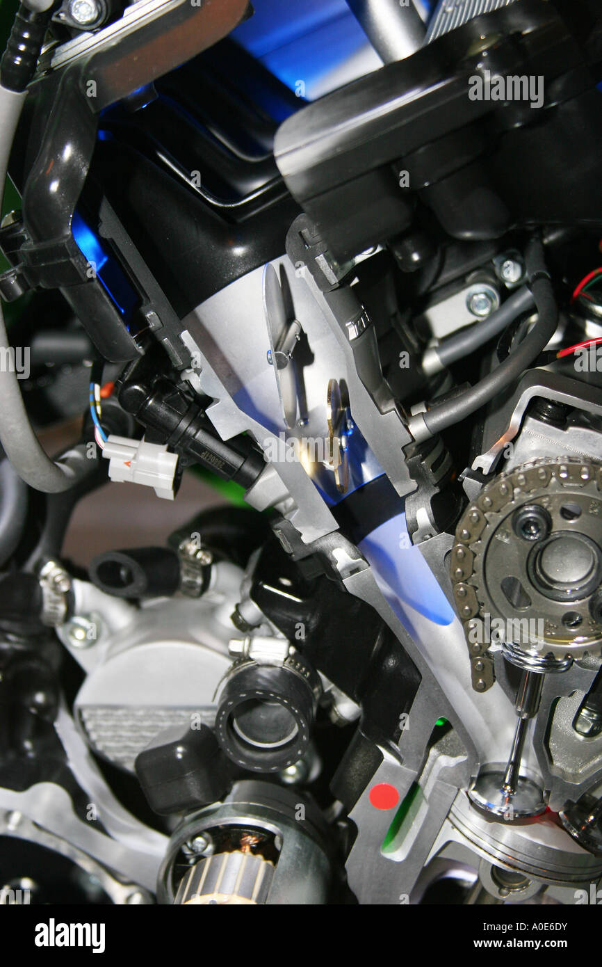 Cut away model showing twin control butterflies in a modern fuel ...