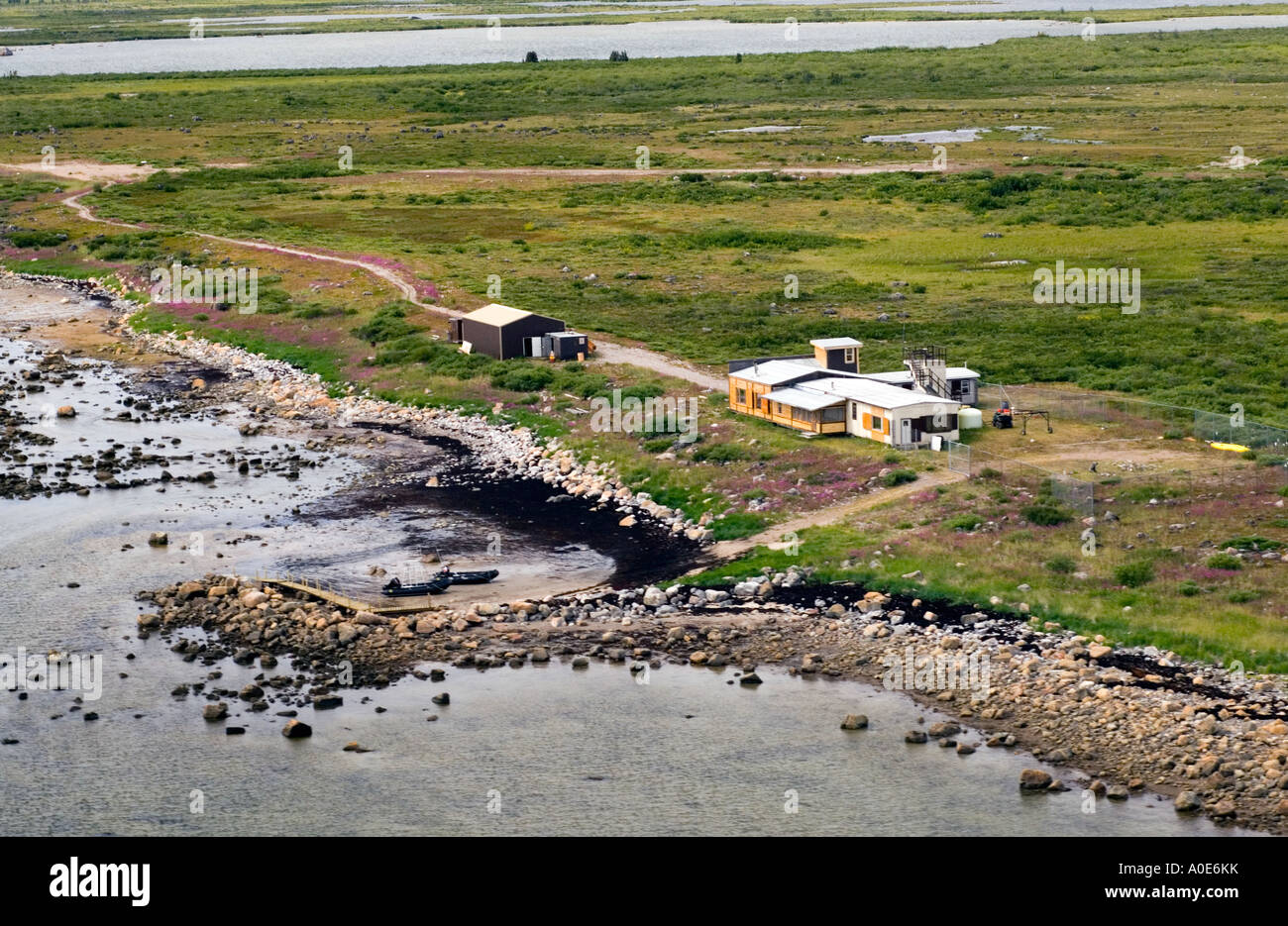 Seal river hi-res stock photography and images - Alamy
