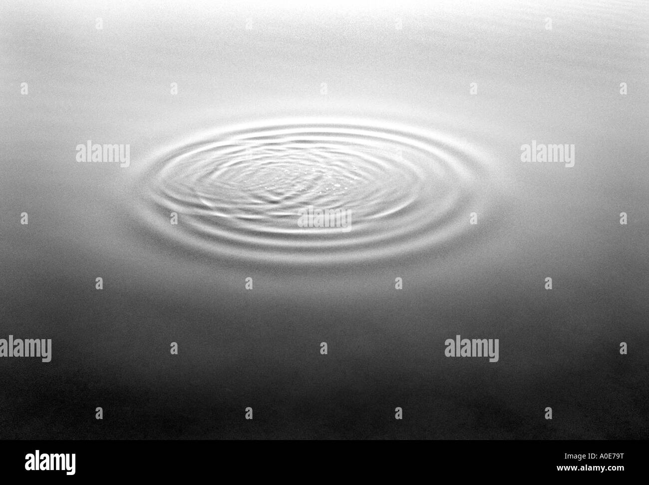 Water ripple effect Black and White Stock Photos & Images - Alamy