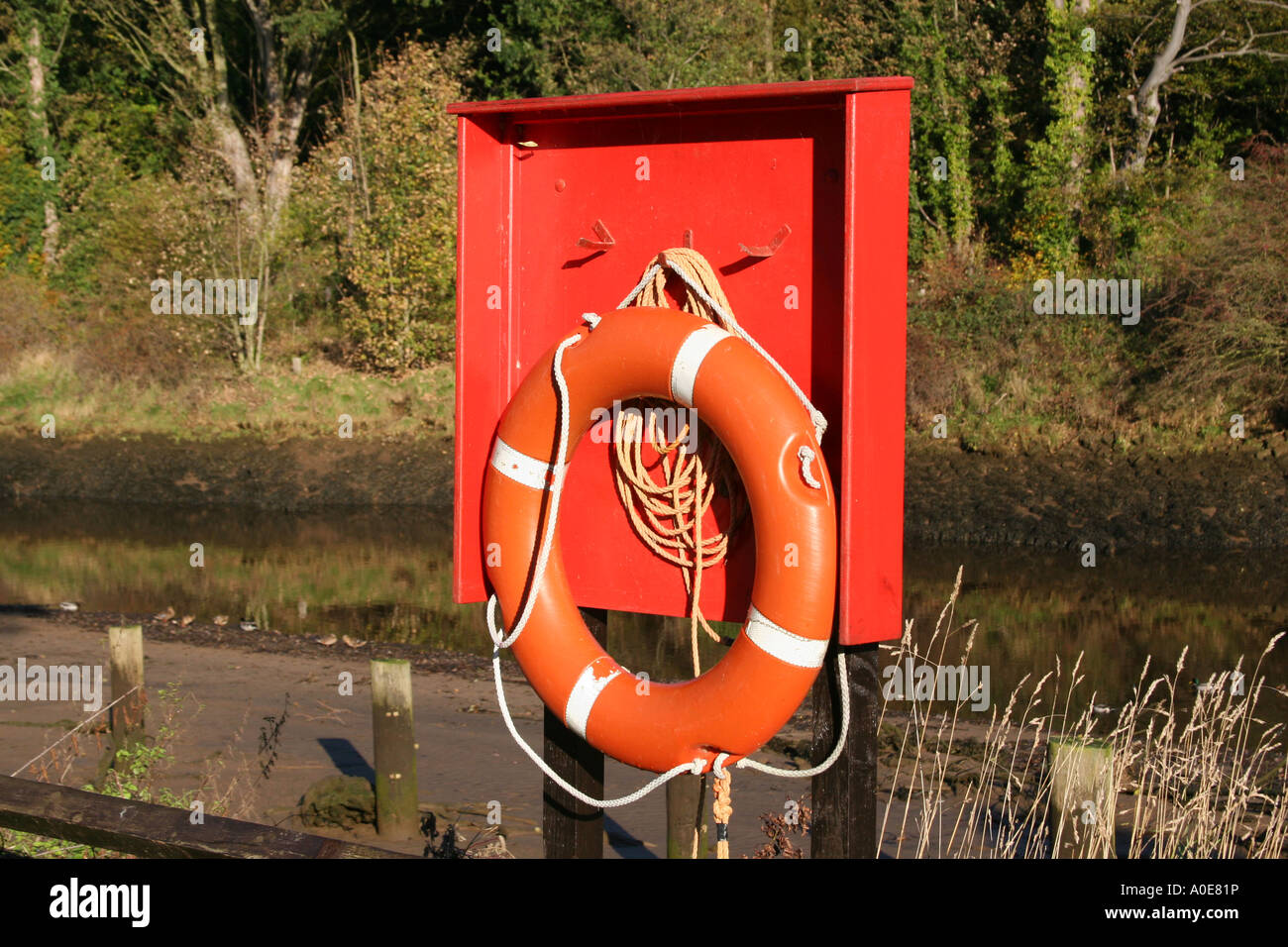 Bright red life saver in river side mount Stock Photo - Alamy