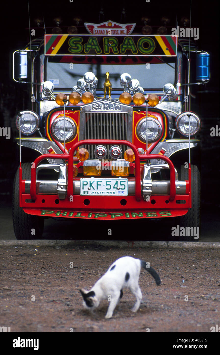 Cat versus Jeepney, Manila Philippines Stock Photo - Alamy