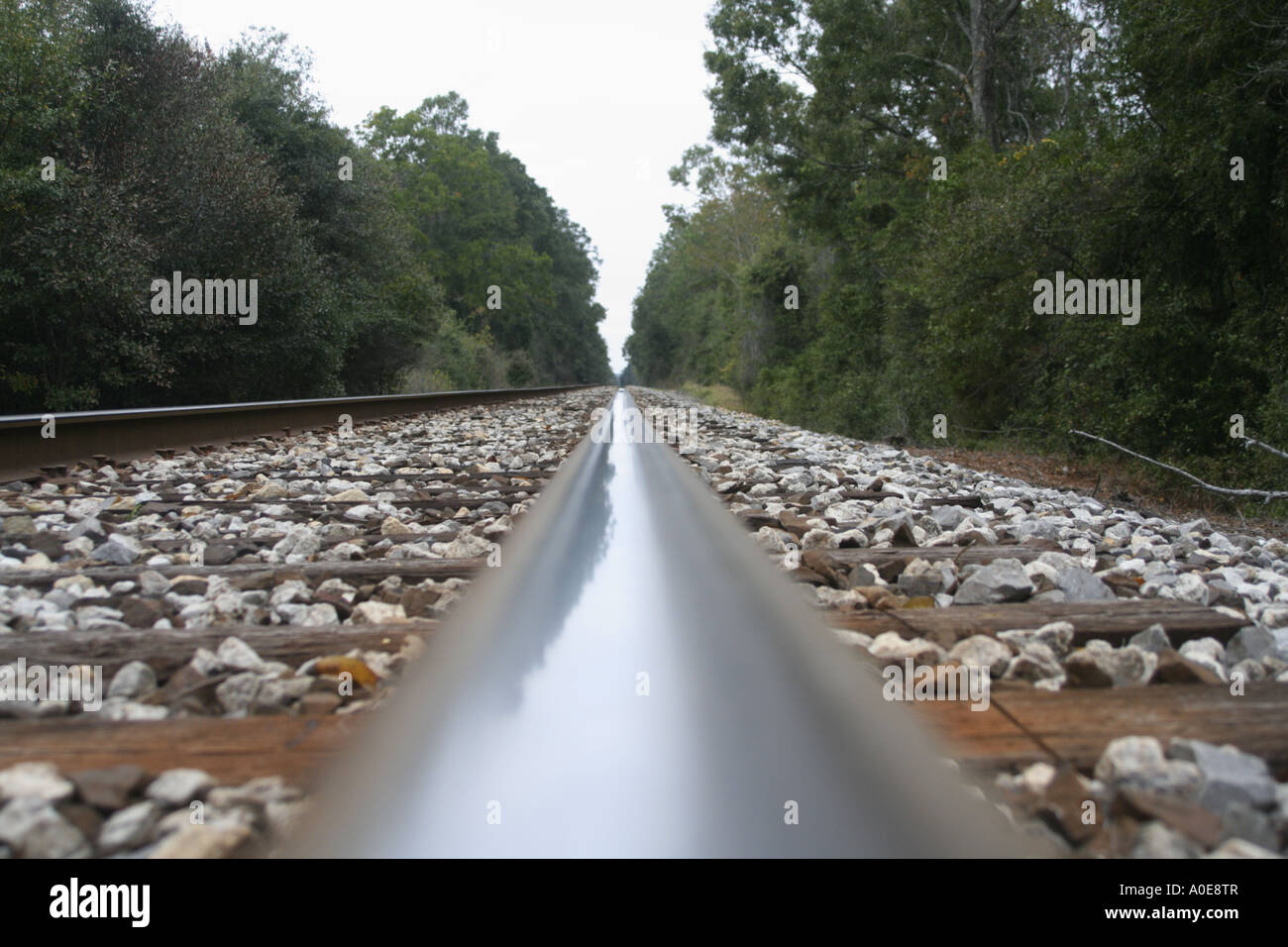 Railroad track cutting through trees Stock Photo - Alamy