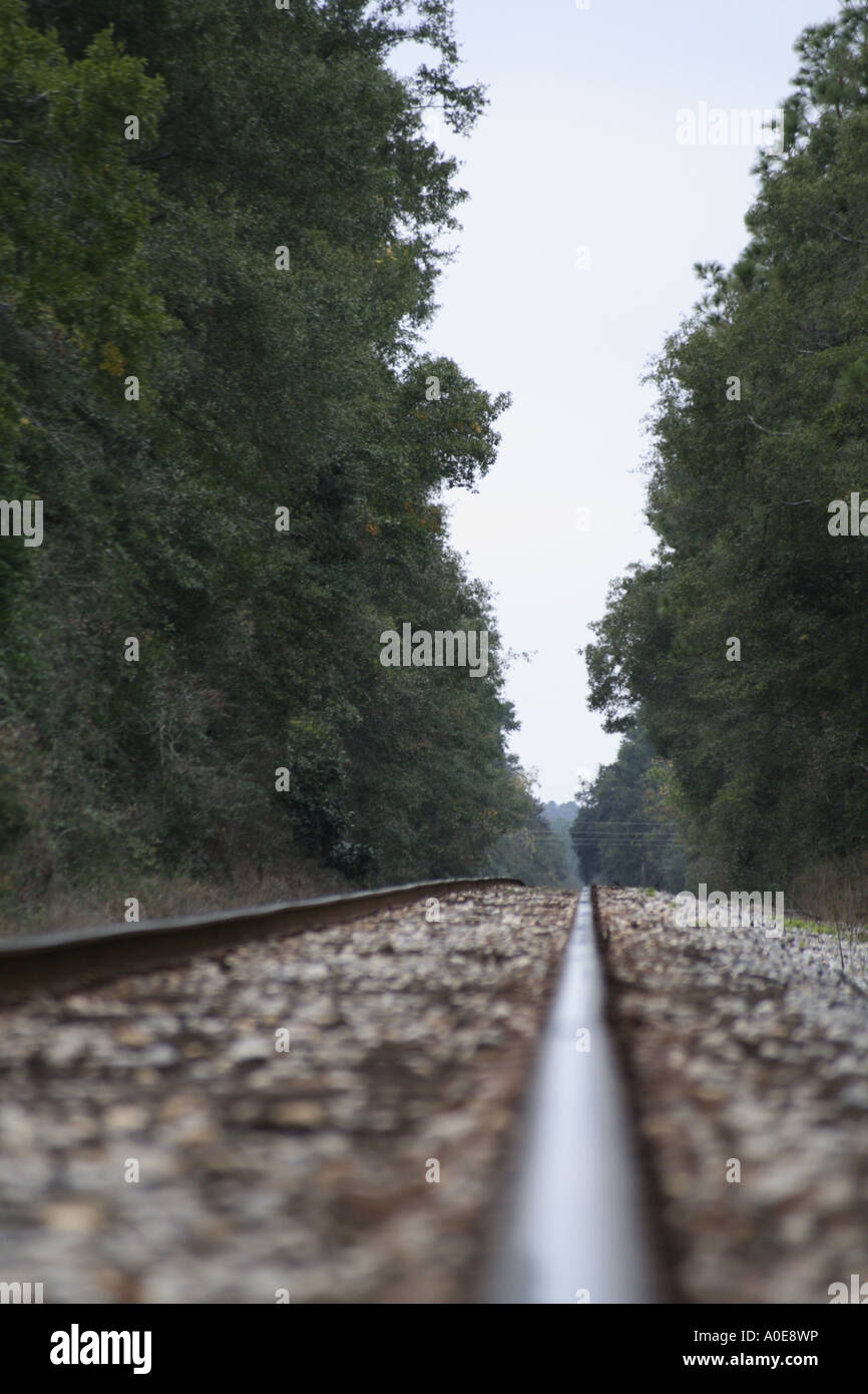 Railroad track cutting through trees Stock Photo - Alamy