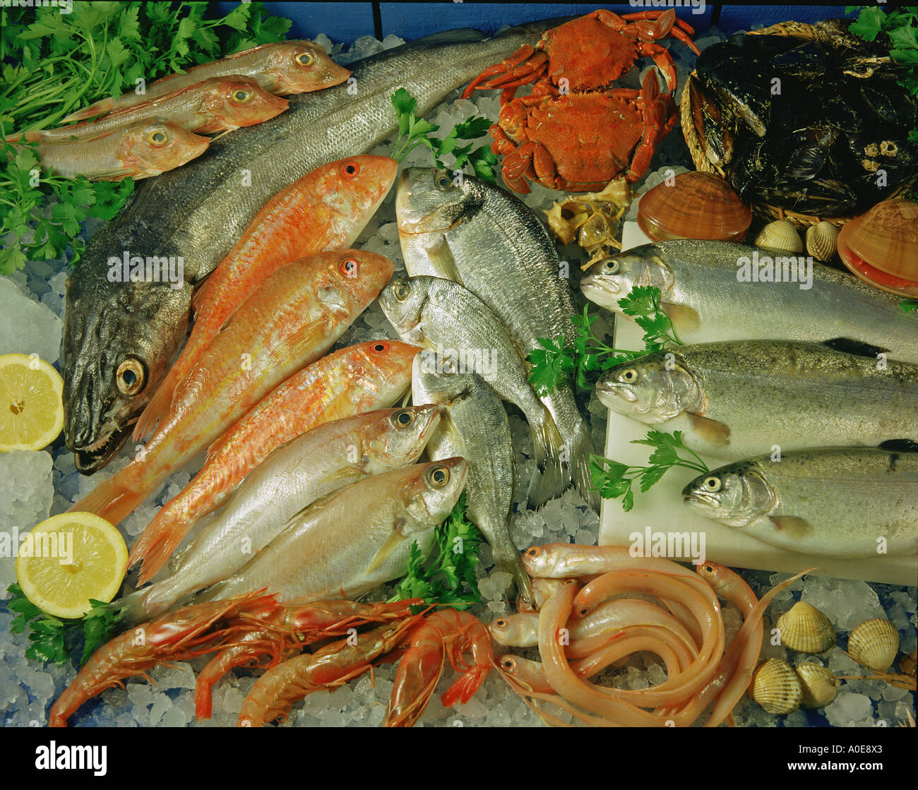 Seafood still life Stock Photo - Alamy