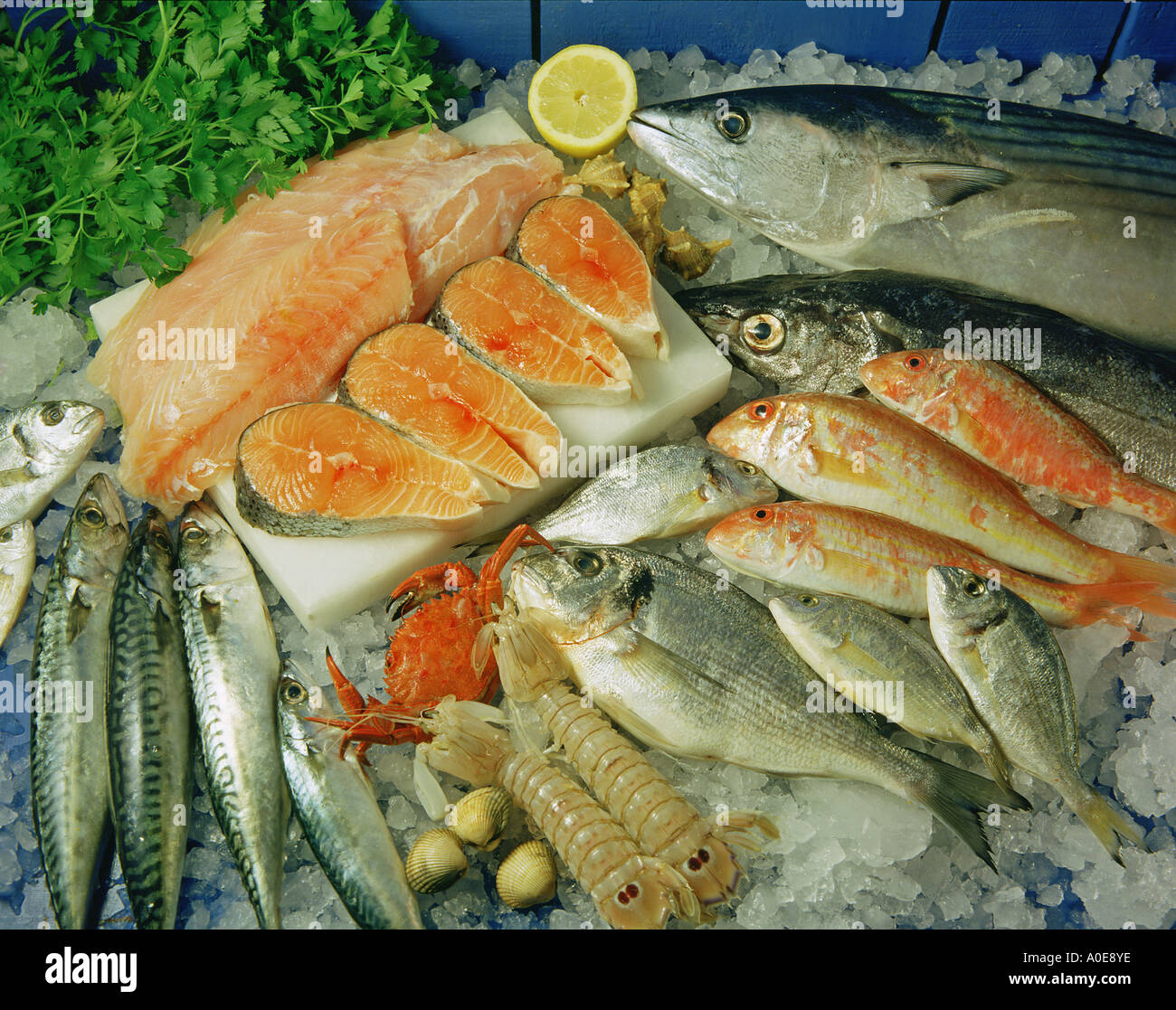 Seafood still life Stock Photo - Alamy