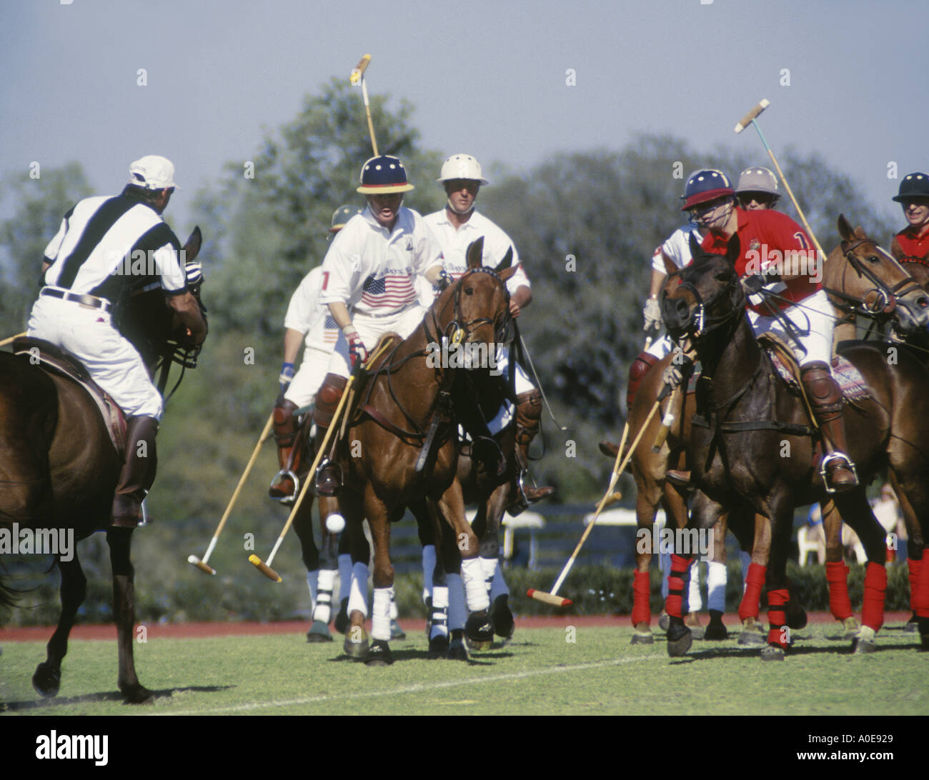 International Polo competition at The Villages Stock Photo - Alamy