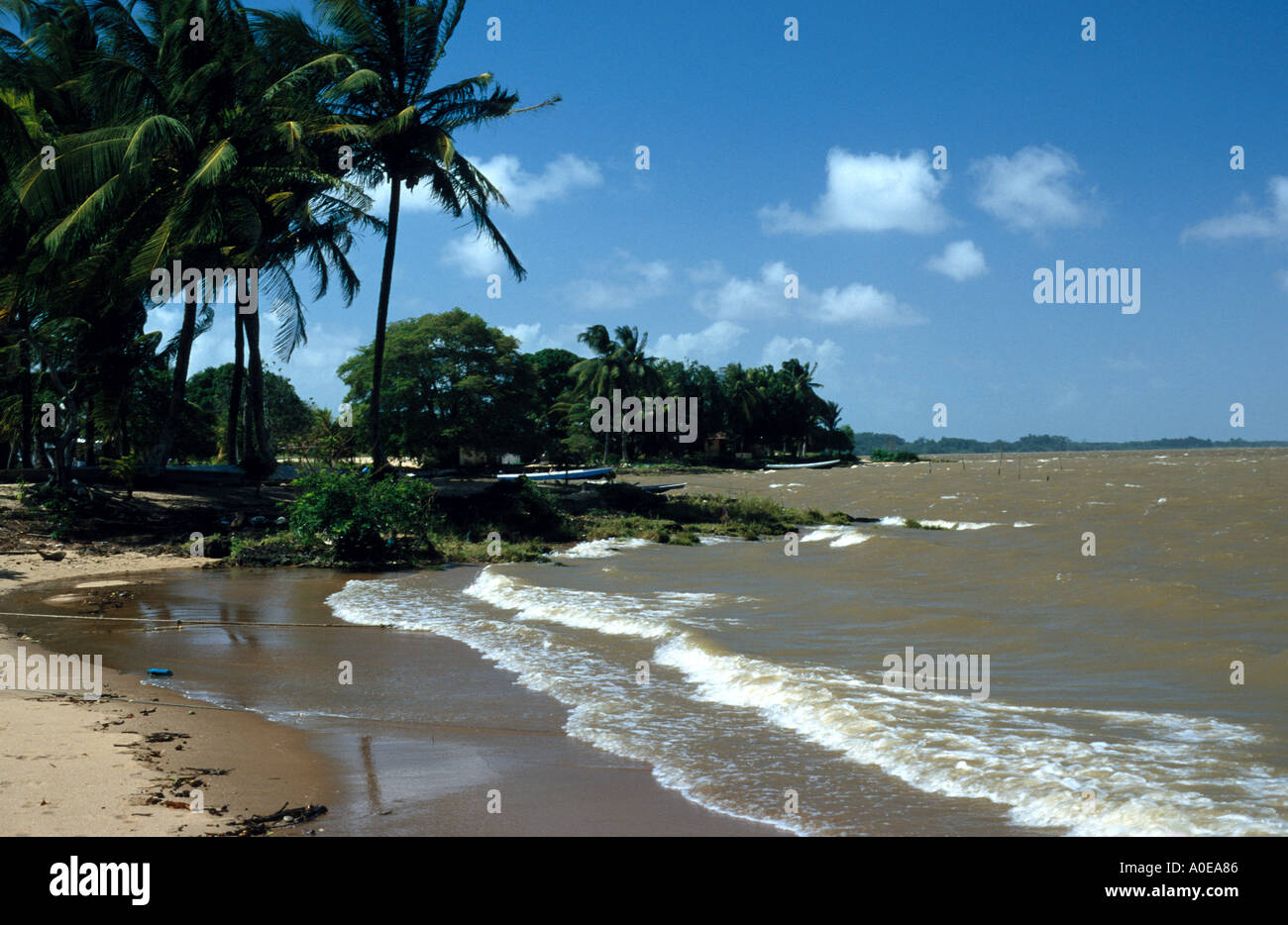 Galibi Nature reserve in Suriname Stock Photo - Alamy