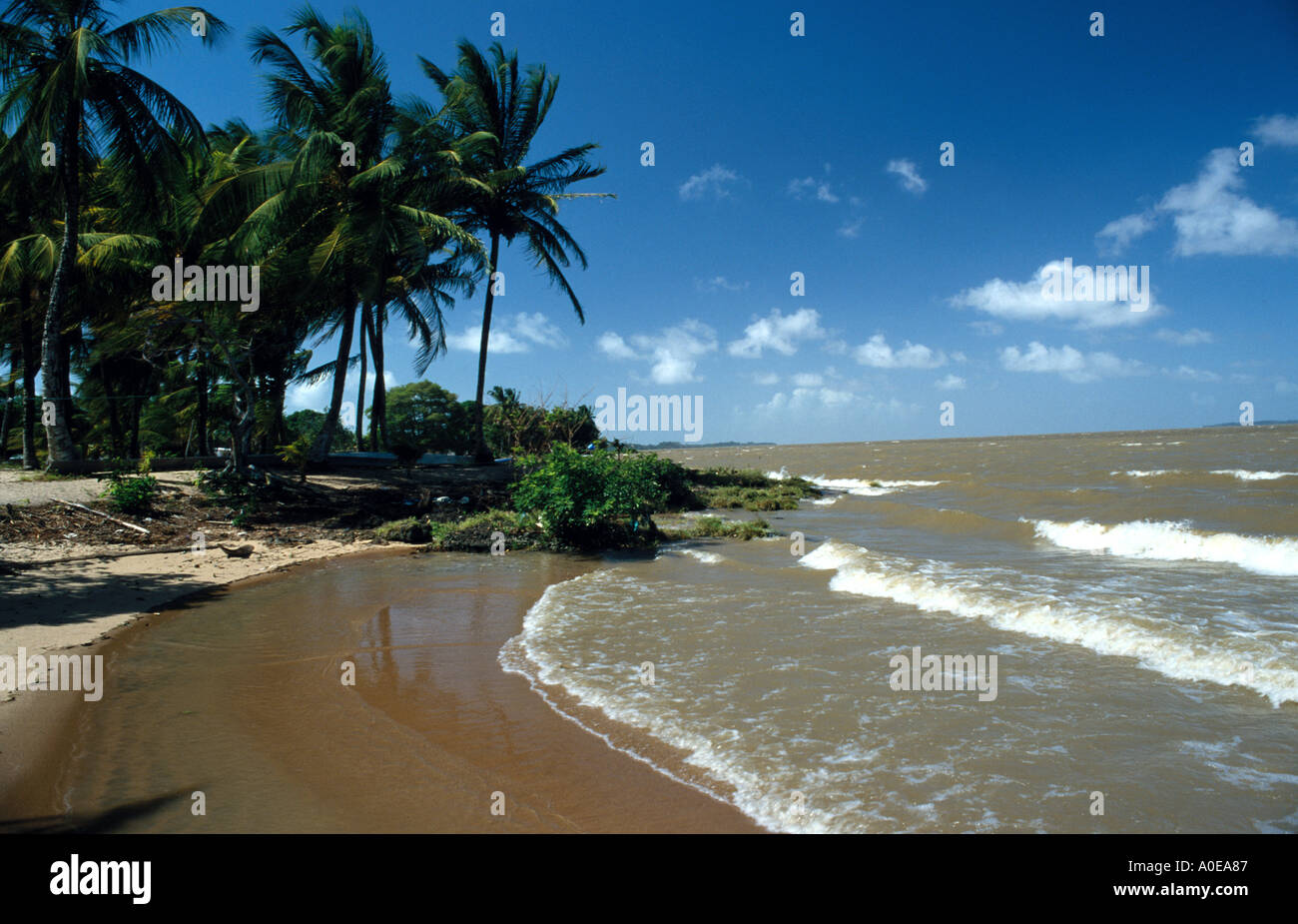 Galibi nature reserve in Suriname Stock Photo: 60039 - Alamy