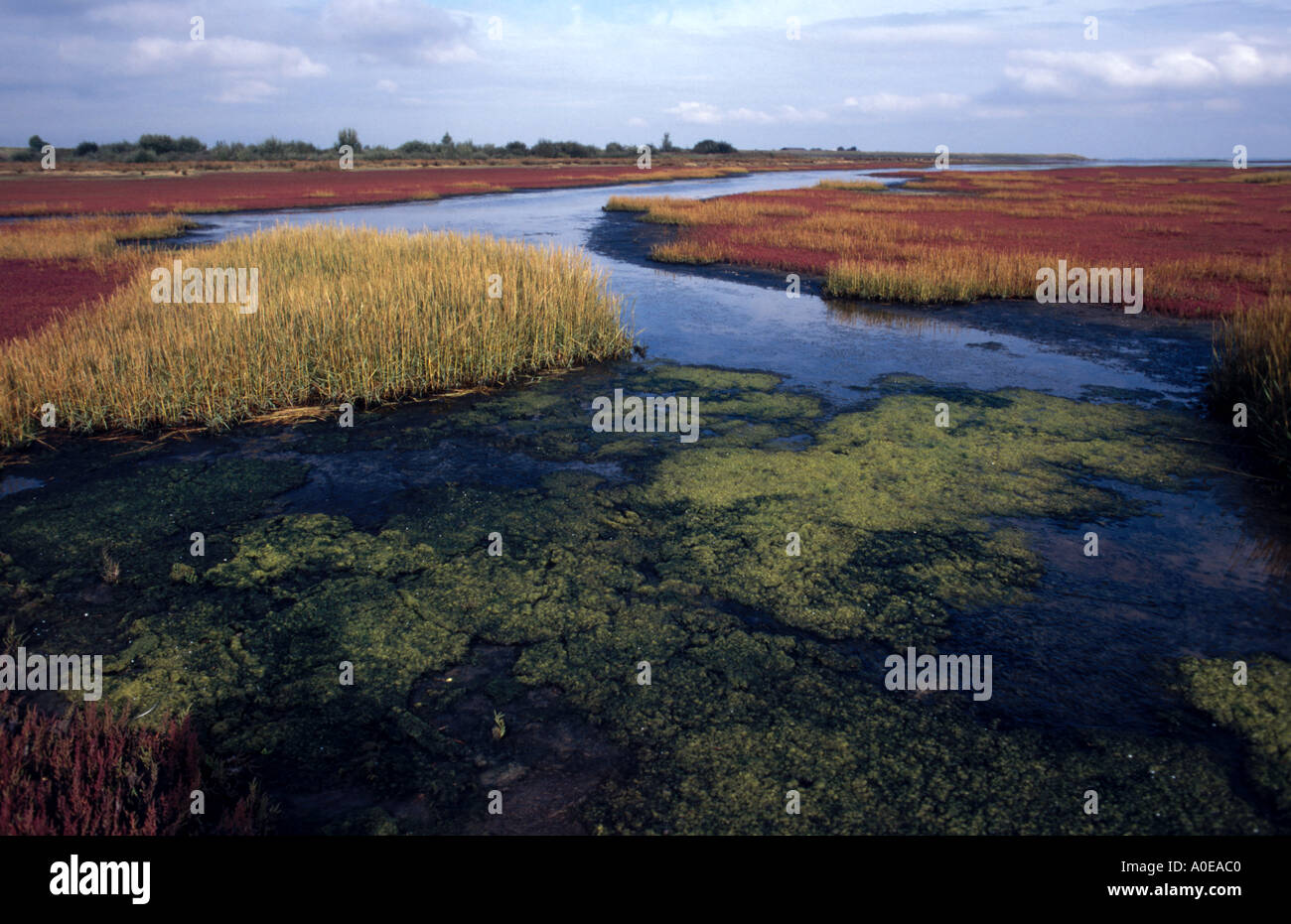 Outside the dikes hi-res stock photography and images - Alamy