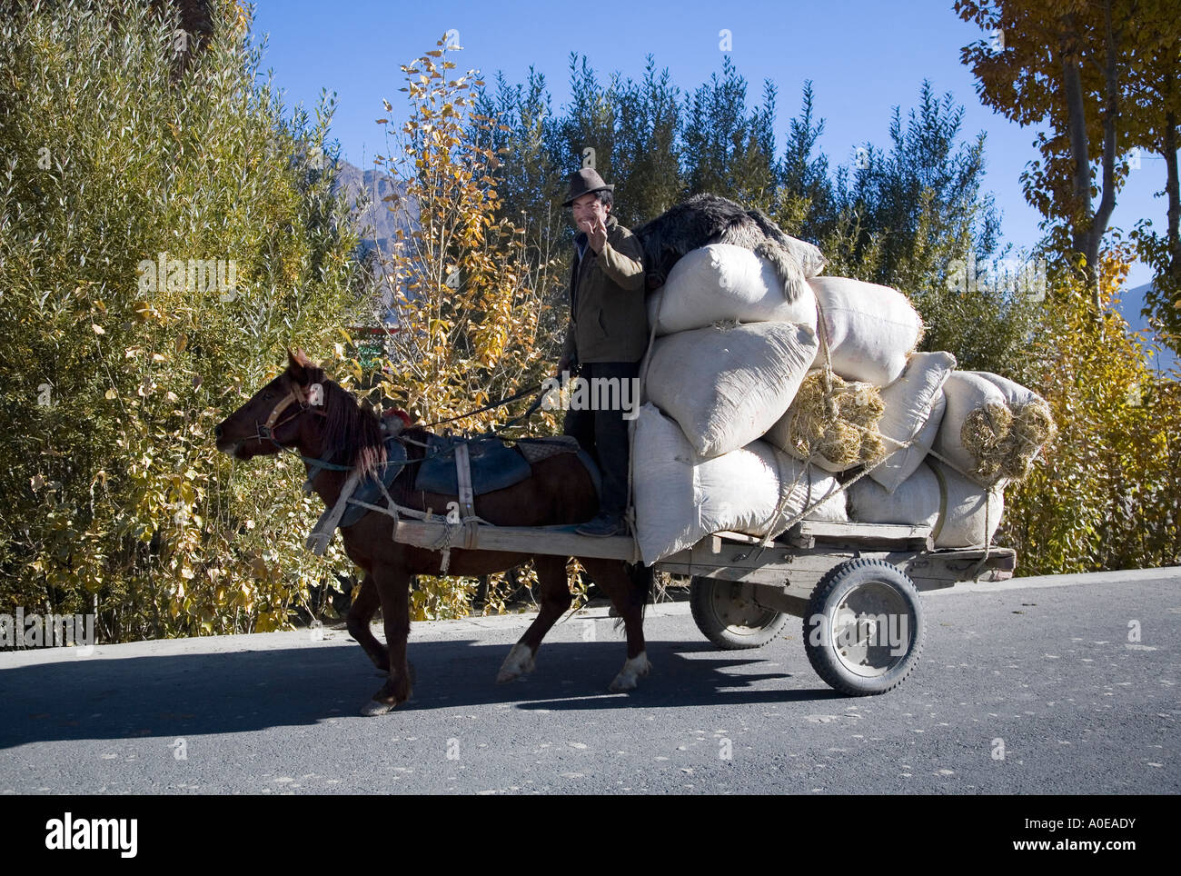 Donkey cart country road hi-res stock photography and images - Alamy