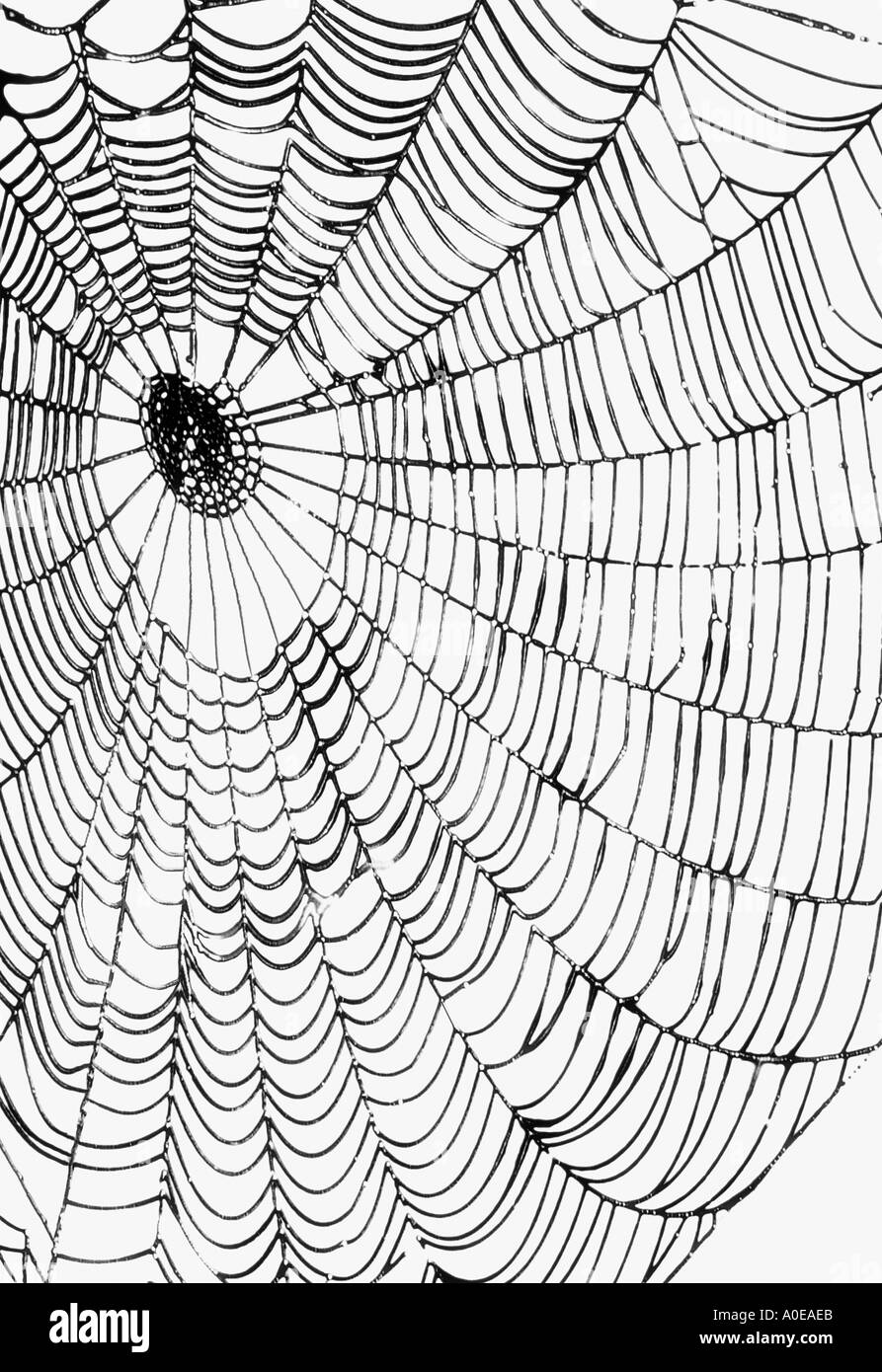 Pickerell Black and White Stock Photos & Images - Alamy