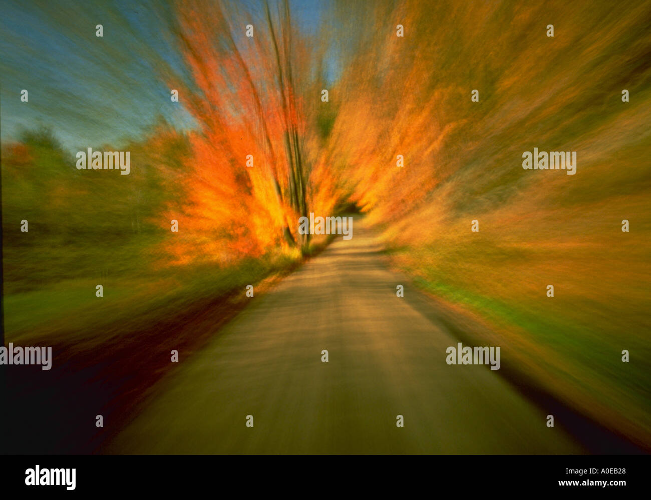 Country road with blurred motion effect and fall foliage New England ...
