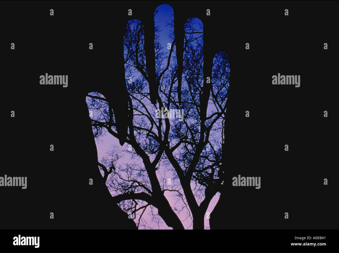 Hand with tree branches Model Released Stock Photo - Alamy