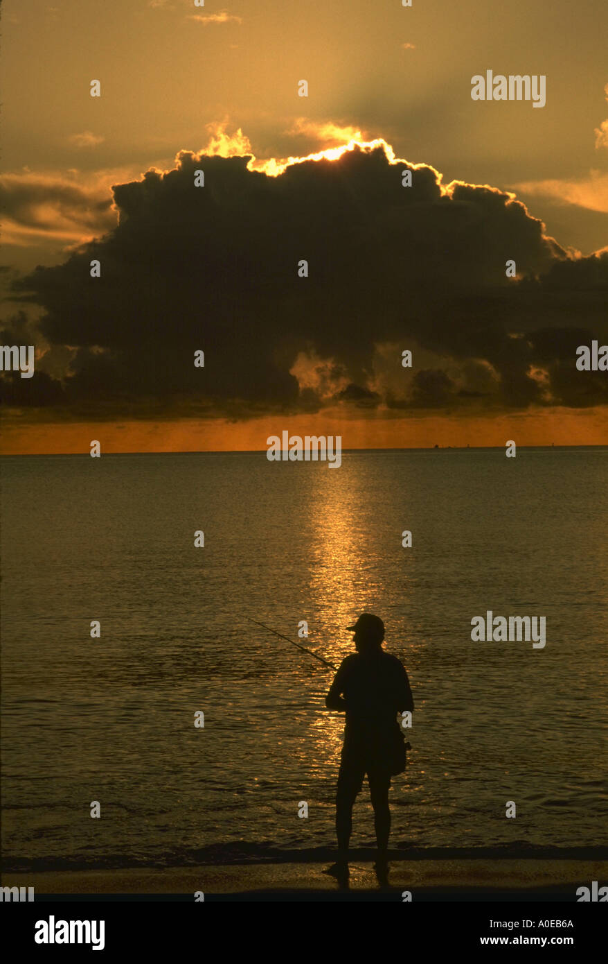 Miami summers hi-res stock photography and images - Alamy