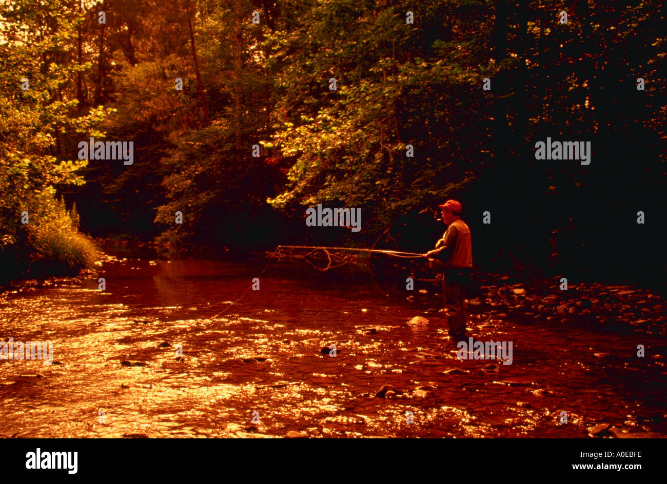 Canopy fishing hi-res stock photography and images - Alamy