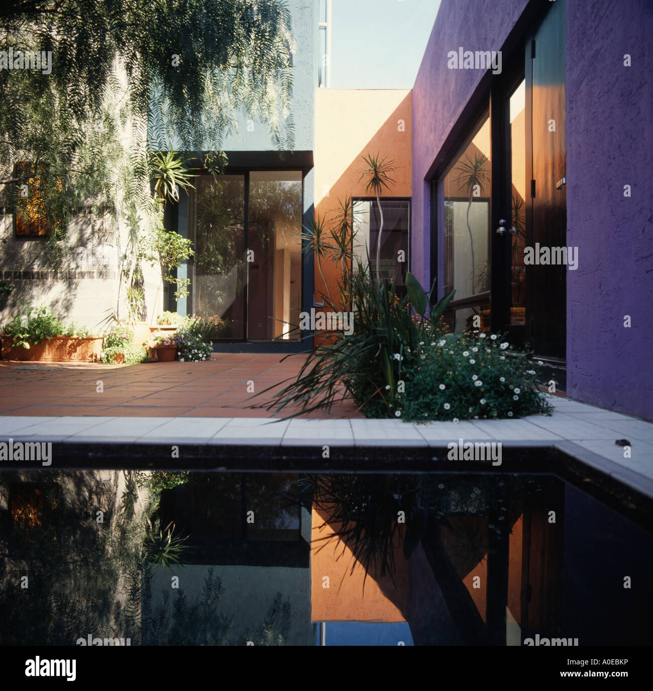 Pool in courtyard of modern house painted purple Stock Photo - Alamy