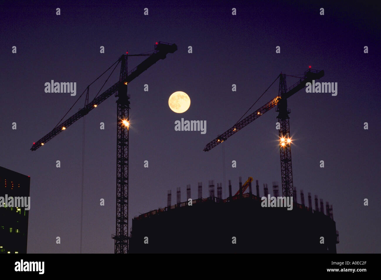 Silhouette of cranes with moon Stock Photo - Alamy