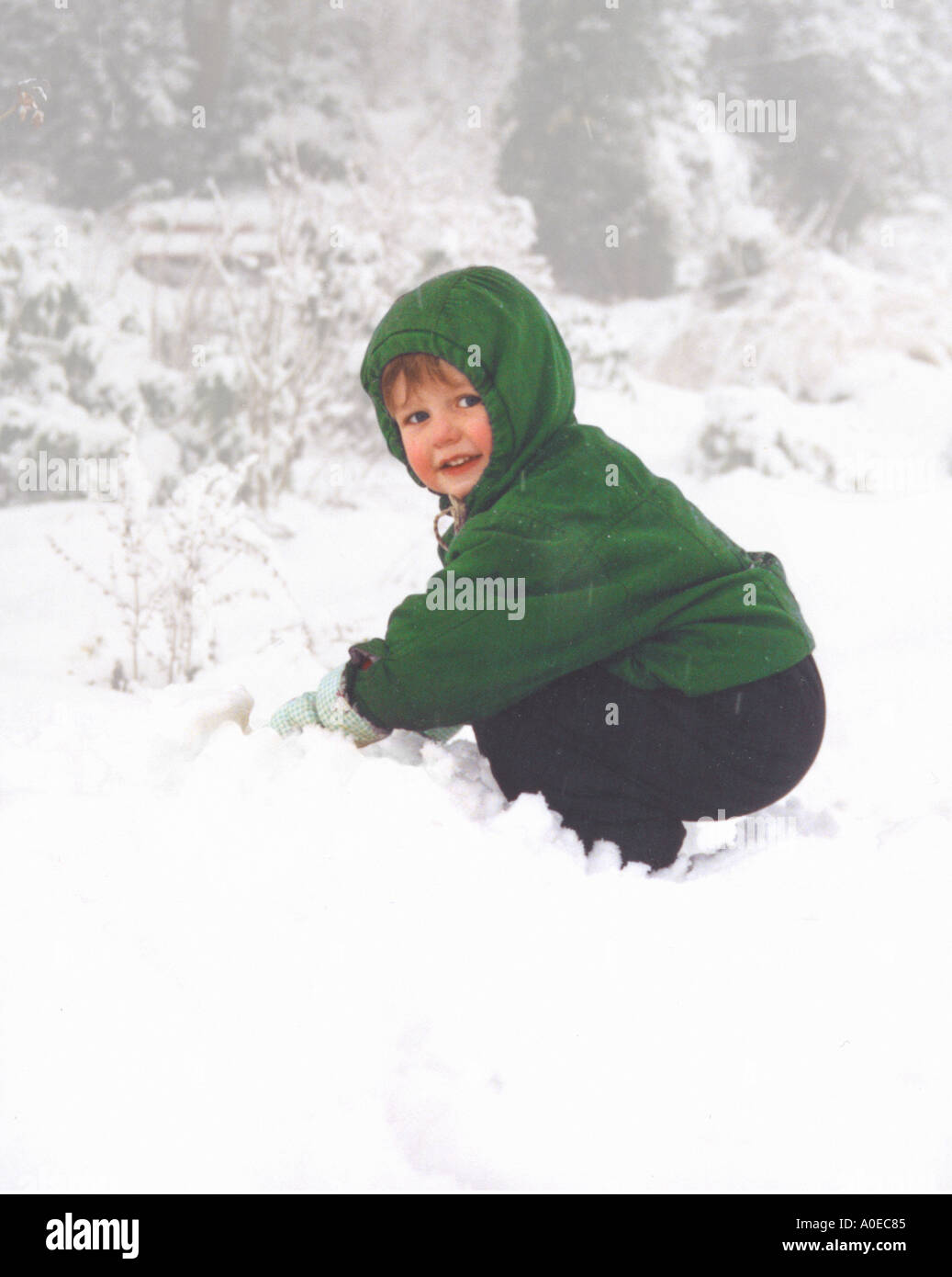 Playing In The Snow Stock Photo - Alamy