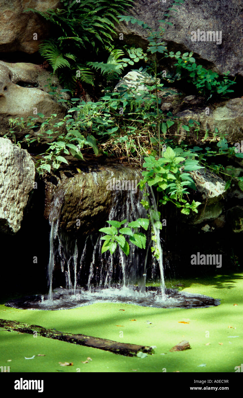 Garden water feature algae hi-res stock photography and images - Alamy