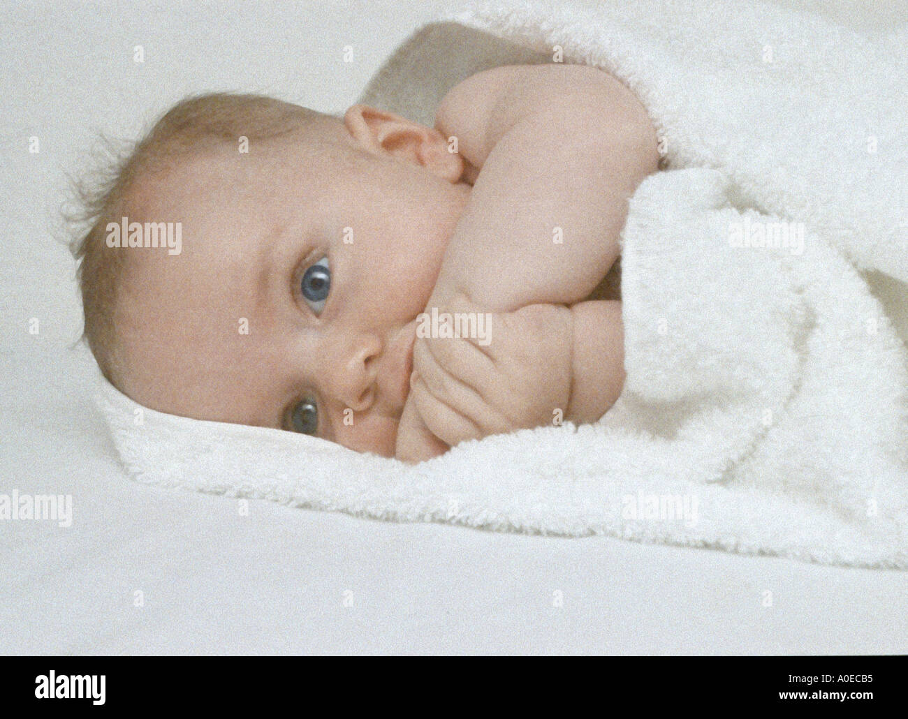 Wrapped hand hi-res stock photography and images - Alamy