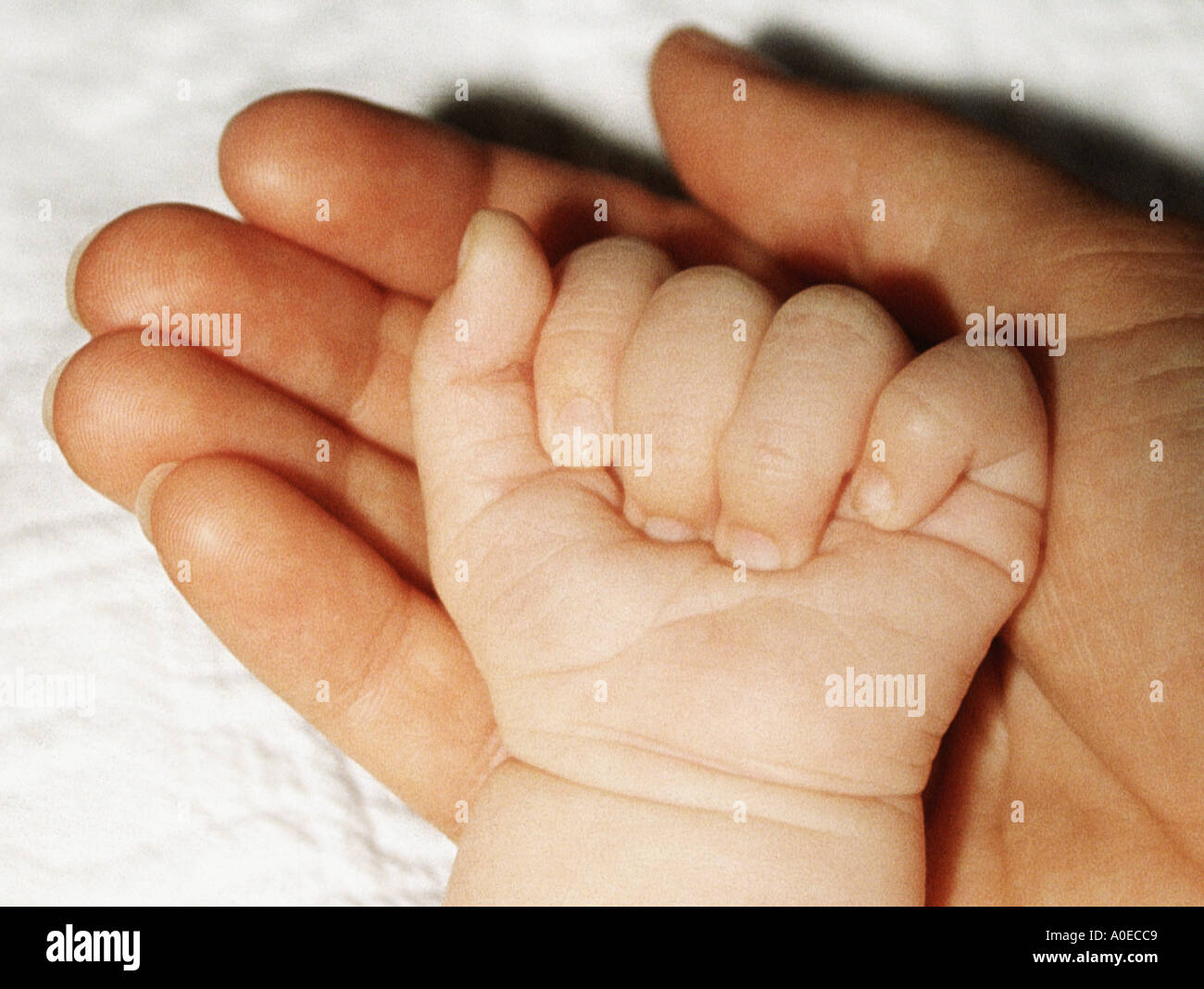 Opposite hands hi-res stock photography and images - Alamy