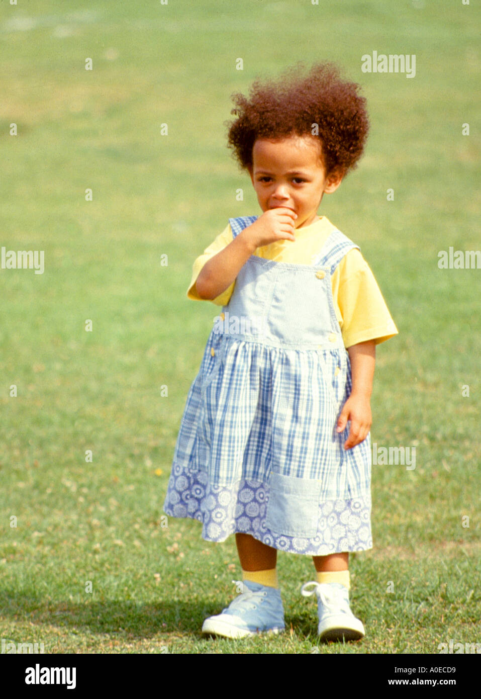 I Want To Play Too Stock Photo - Alamy