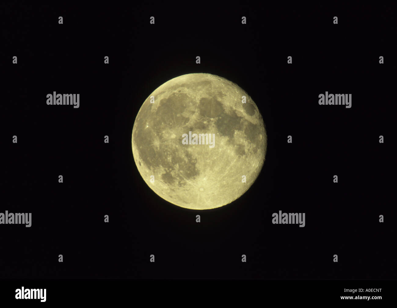 Tim moon hi-res stock photography and images - Alamy