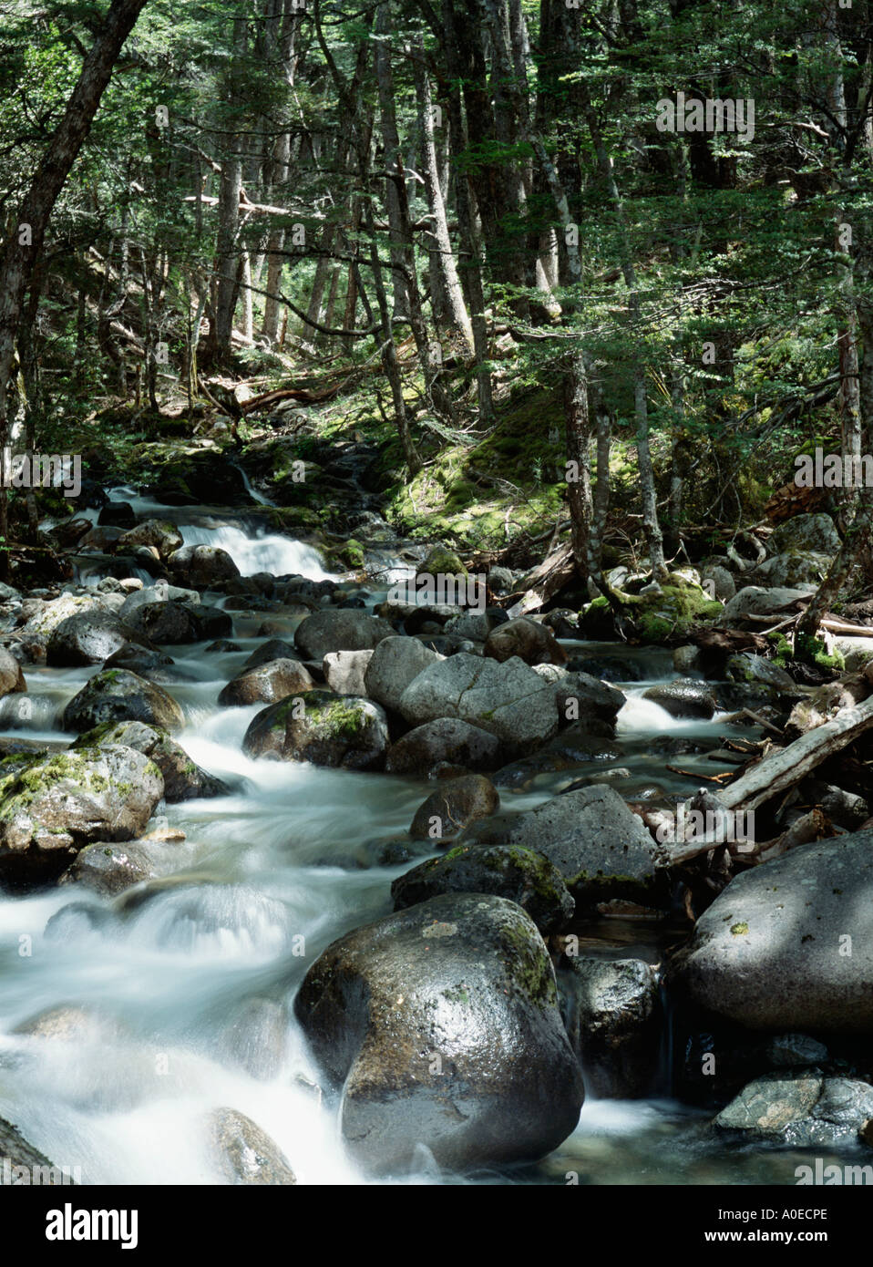River flowing over rocks Argentina Stock Photo - Alamy