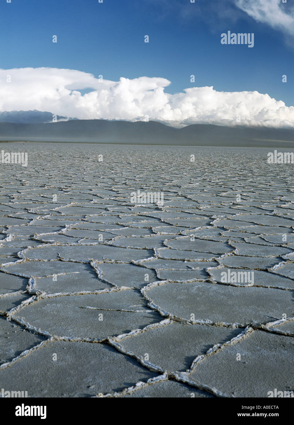 Salt flats Argentina Stock Photo - Alamy