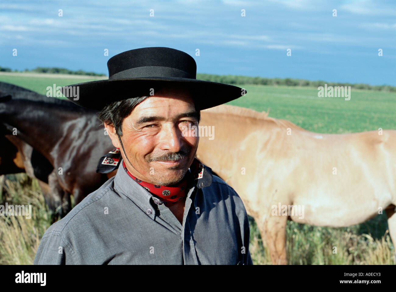 Pampas grassland gaucho hi-res stock photography and images - Alamy