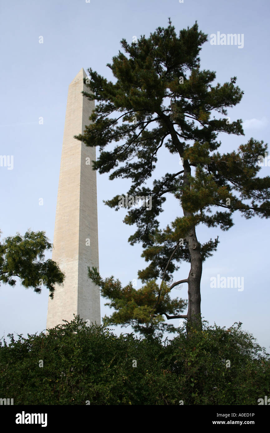 Washington monument and silhouette of tree Washington DC October 2006 ...