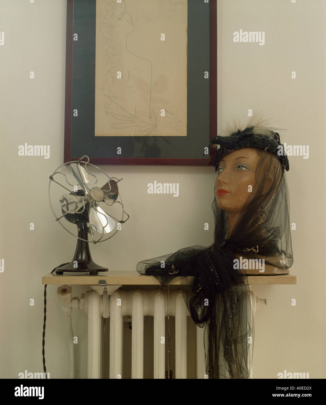 Shelf fans hi-res stock photography and images - Alamy