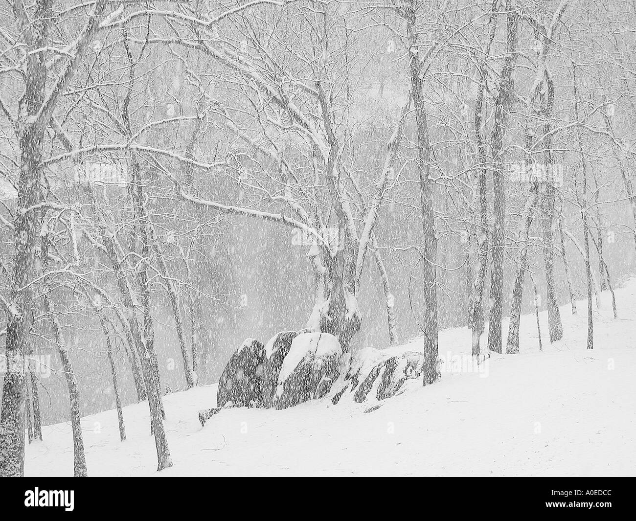 Relaxed scenes Black and White Stock Photos & Images - Alamy