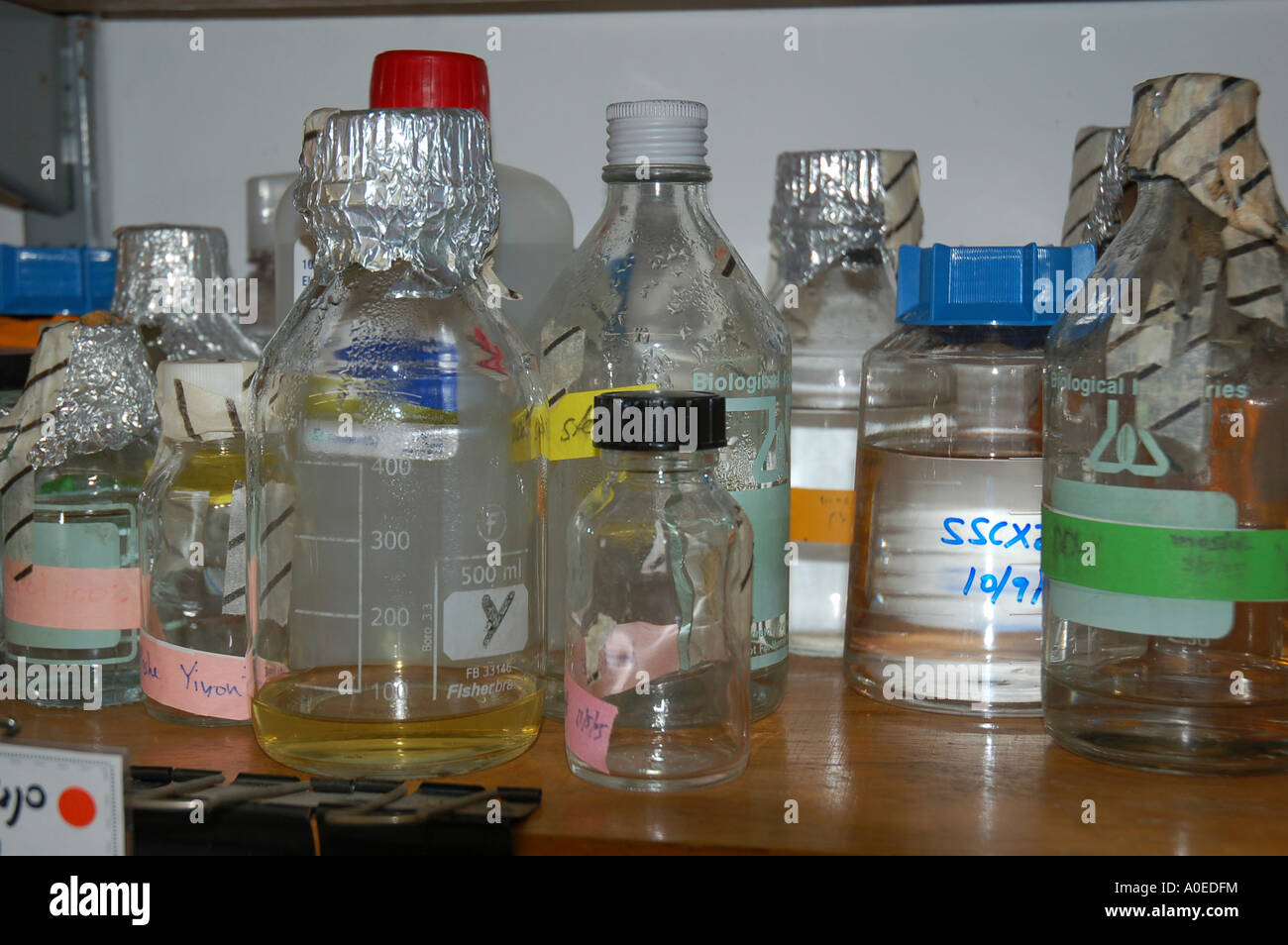 Biological lab chemicals and substances on a shelf at a work station in ...