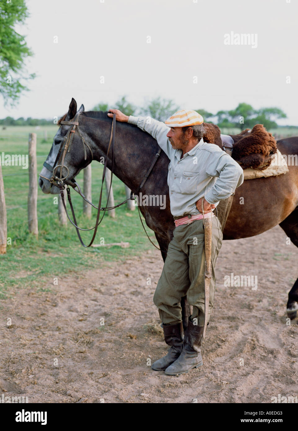 Pampas argentina farming hi-res stock photography and images - Alamy