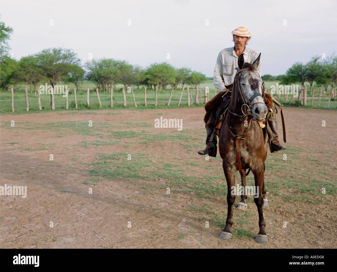 Pampas grassland gaucho hi-res stock photography and images - Alamy