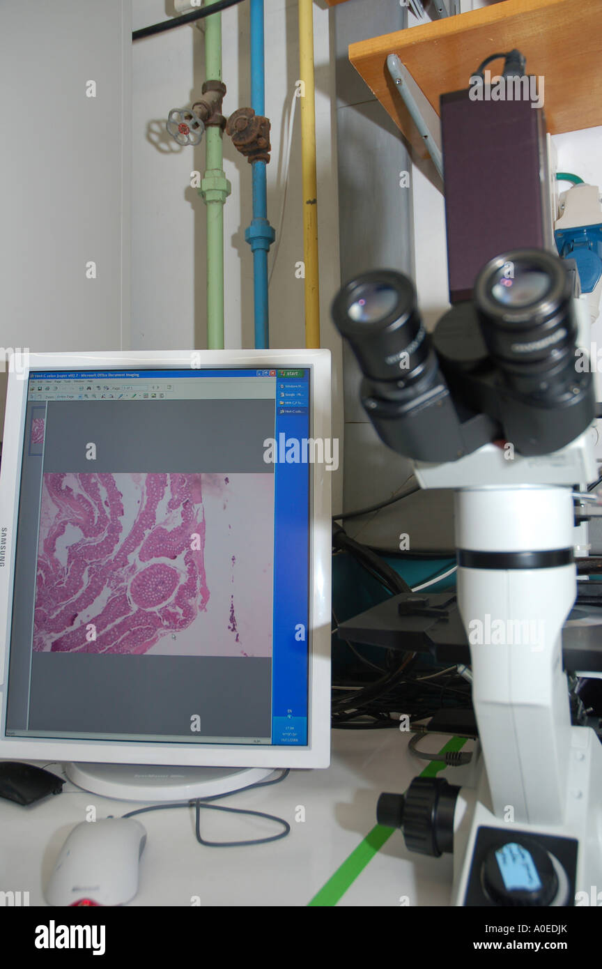 Biological lab tools and equipment a microscope work station in a bio ...