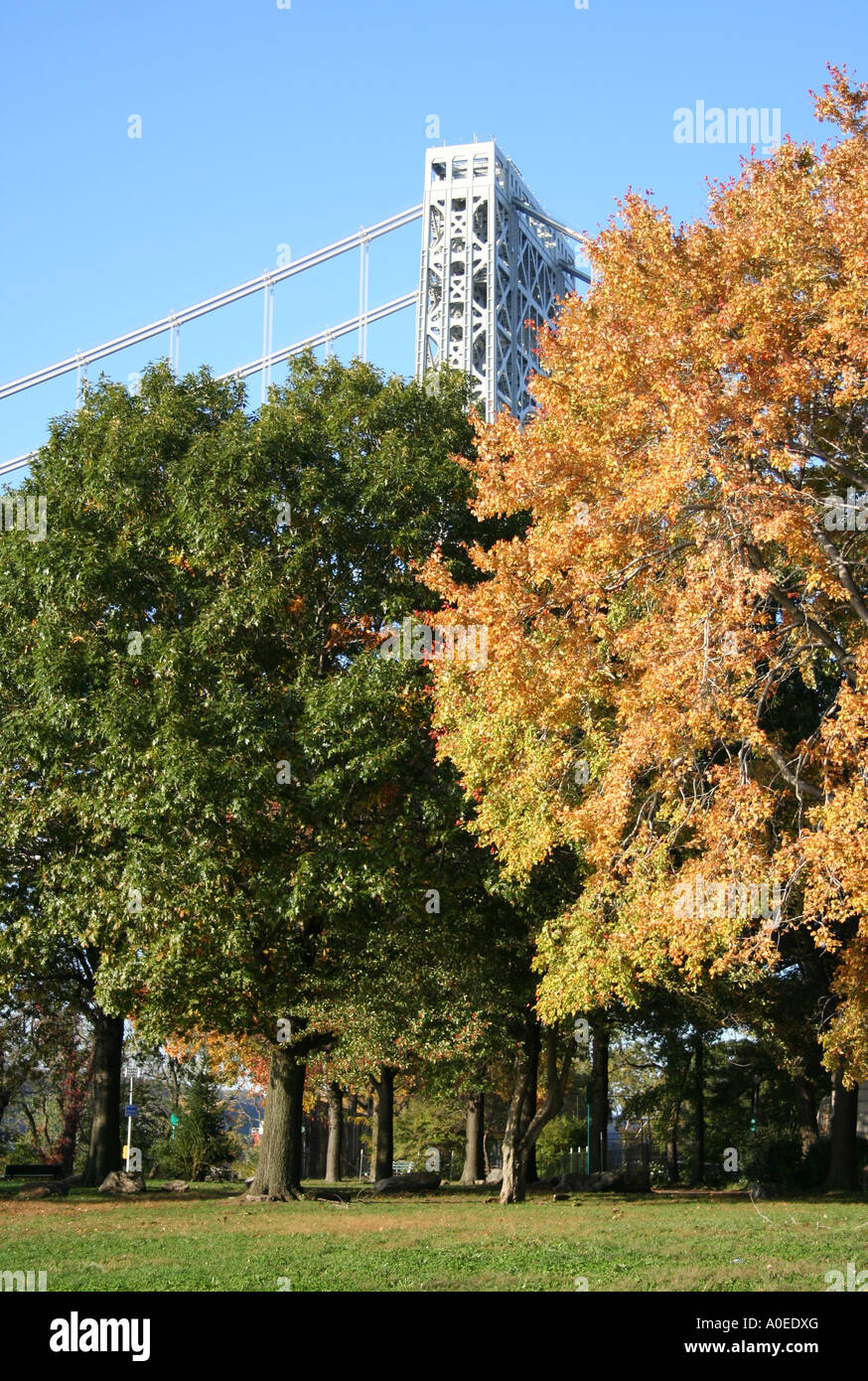 top of tower of George Washington Bridge and trees of Fort Washington ...