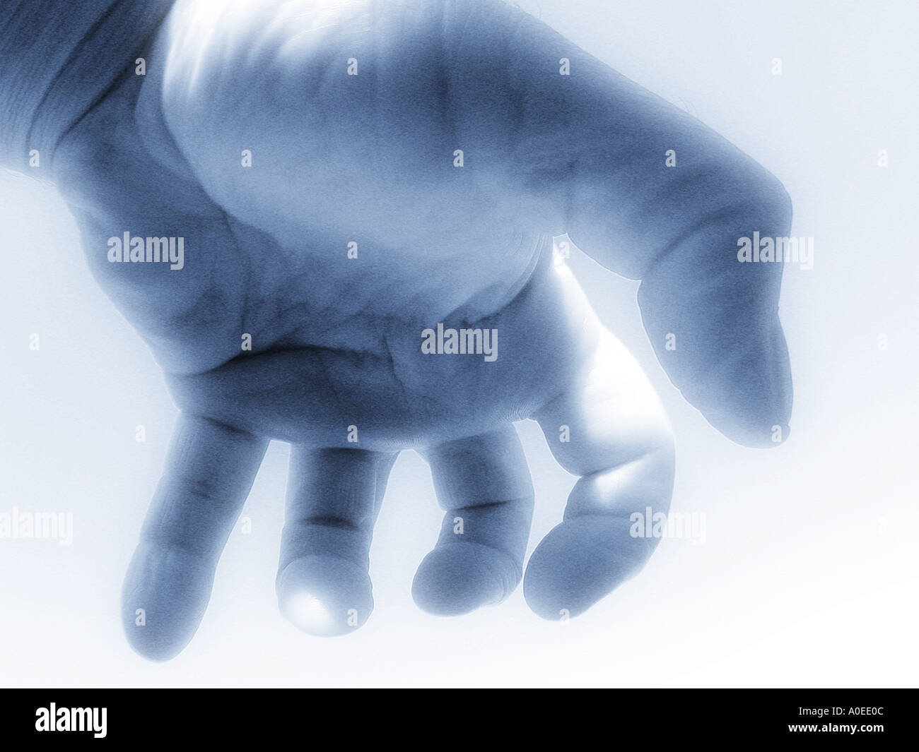 Tense anatomy hi-res stock photography and images - Alamy