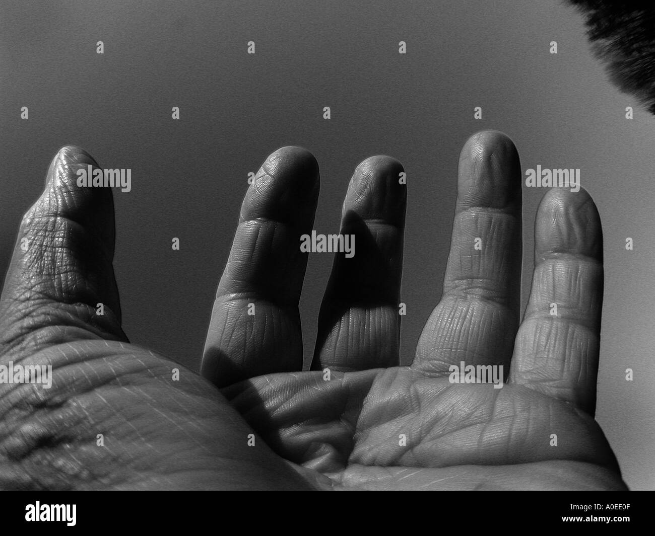 Computer celebrating Black and White Stock Photos & Images - Alamy