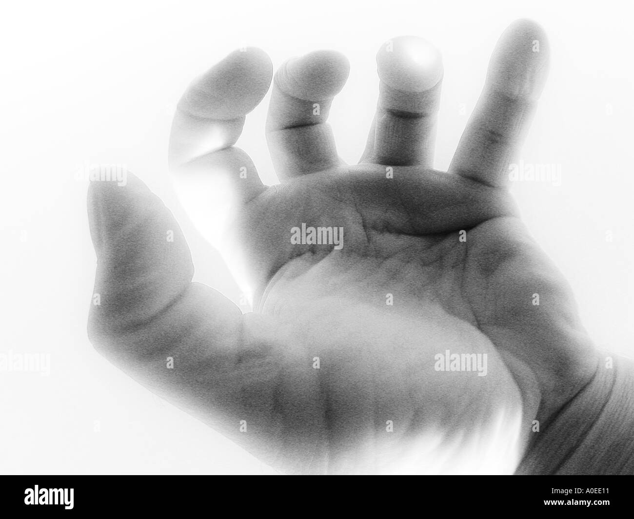 Tense anatomy hi-res stock photography and images - Alamy