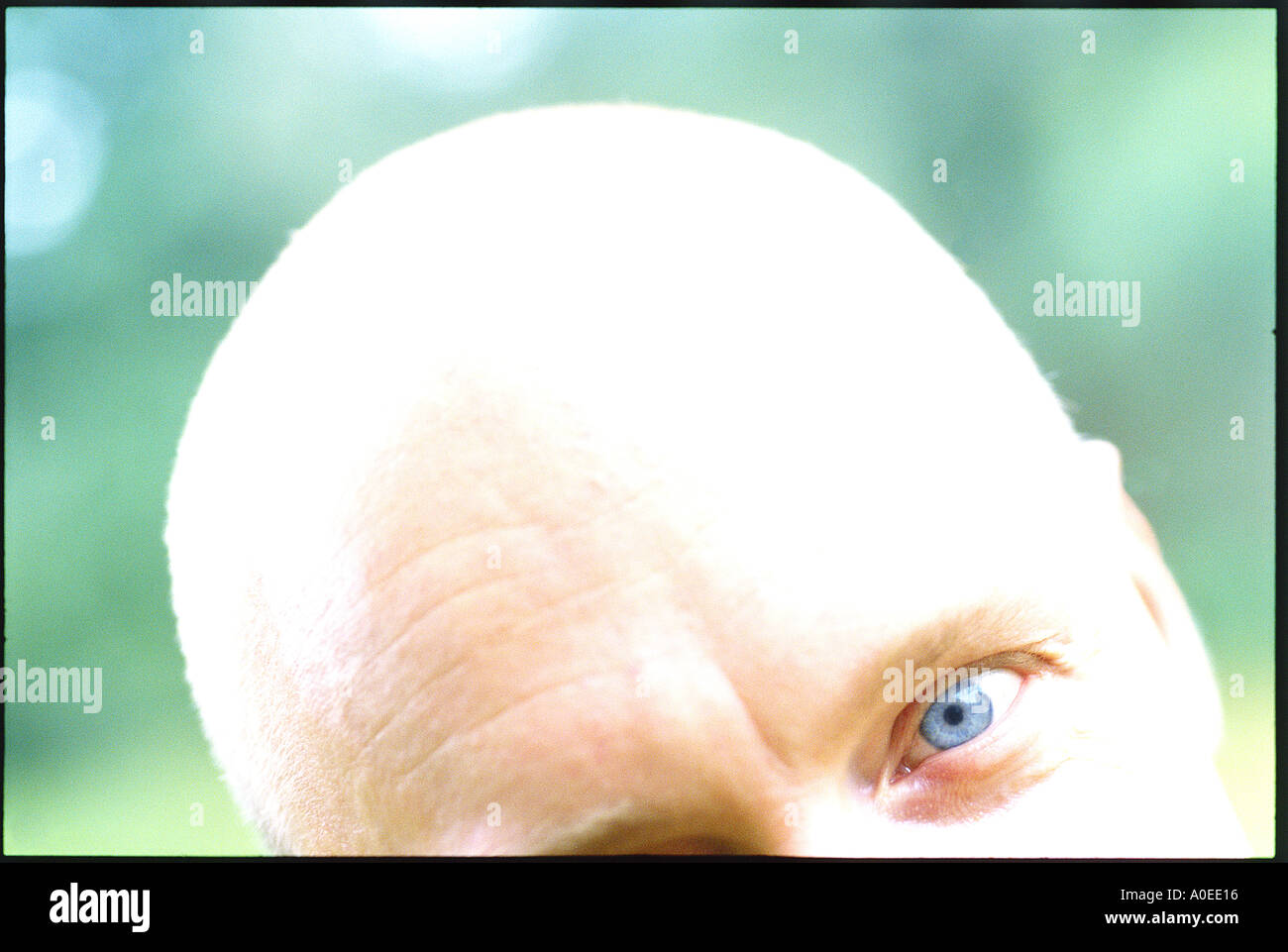 portrait of man s bald head Stock Photo - Alamy